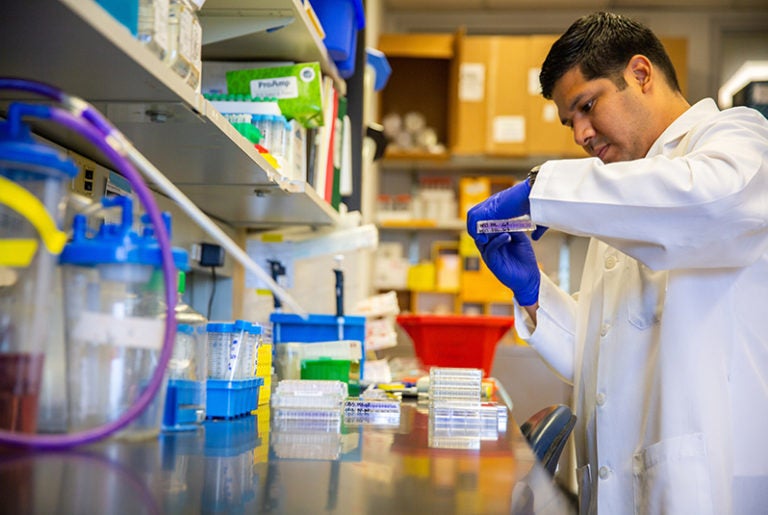 Georgetown University Medical Center | Georgetown University