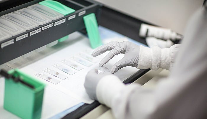 Georgetown University Medical Center | Georgetown University