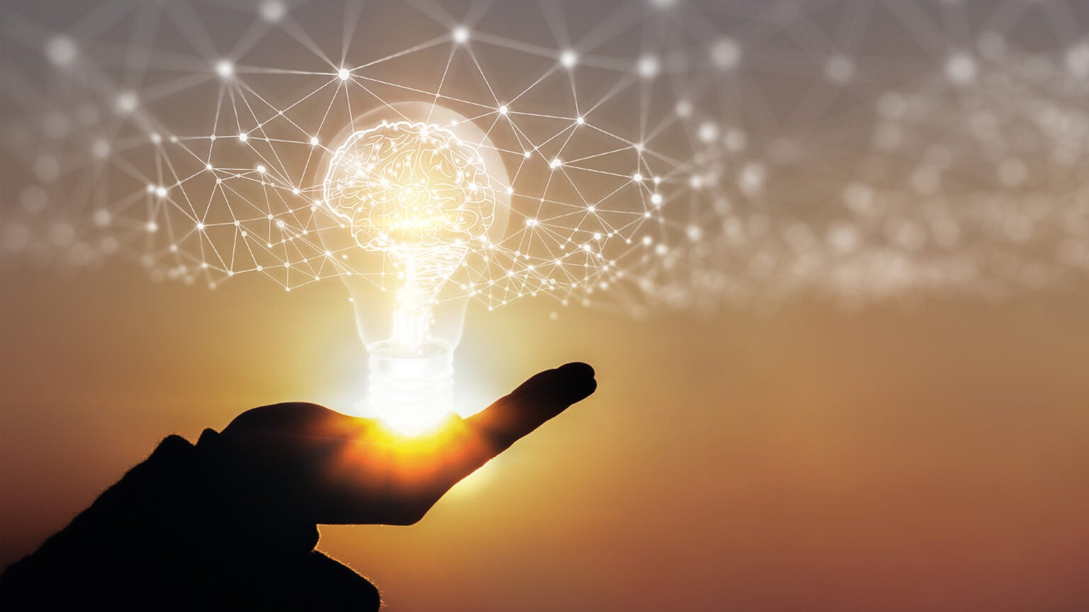 Georgetown University Medical Center | Georgetown University